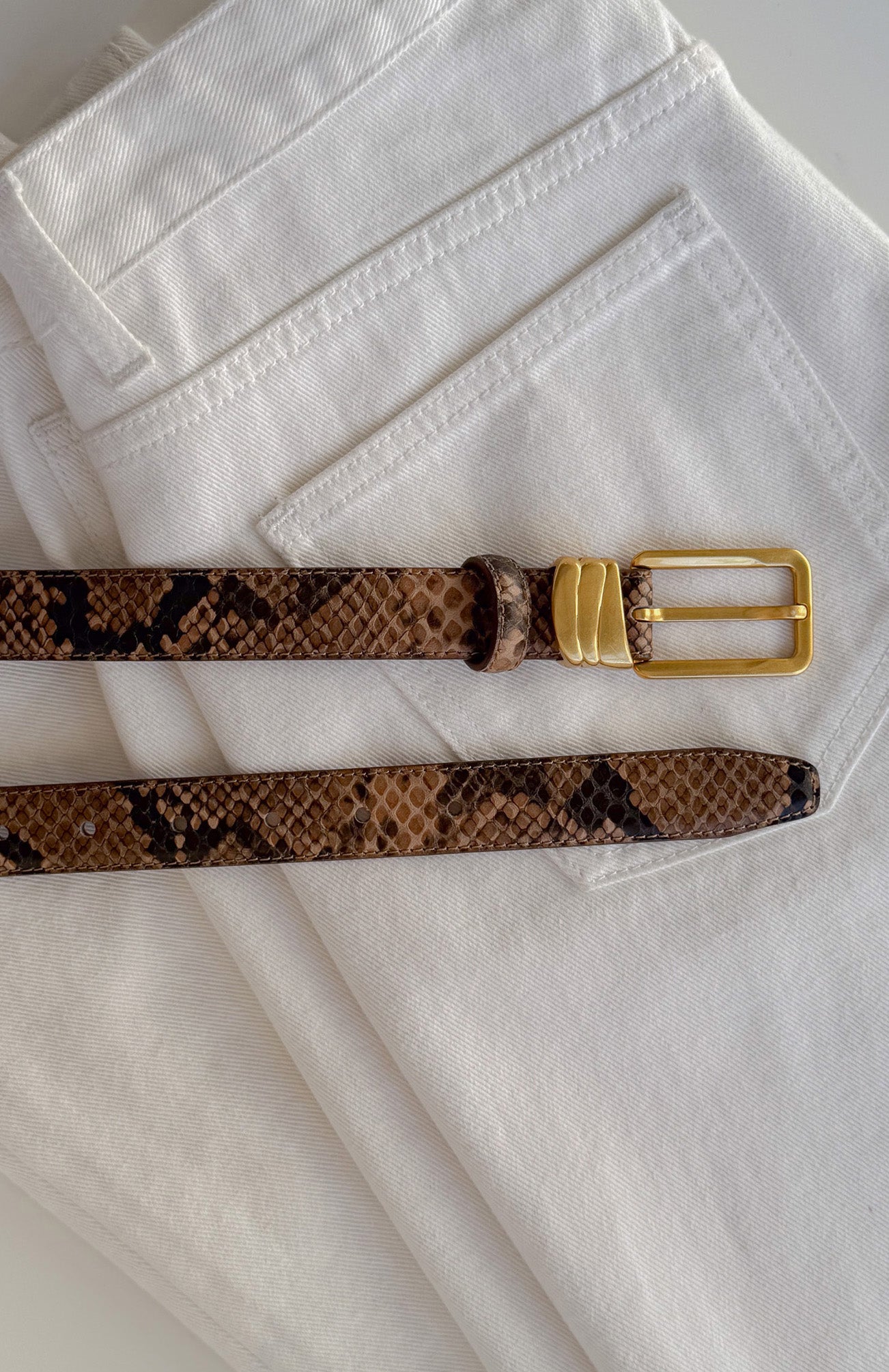 Rex Belt Snake/Vintage Gold | White Fox Boutique US
